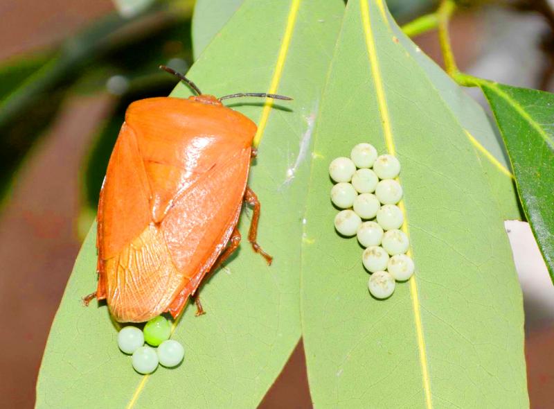 CHANGHUA – ENVIRONMENT & NATURE – CloudBridgeTaiwan