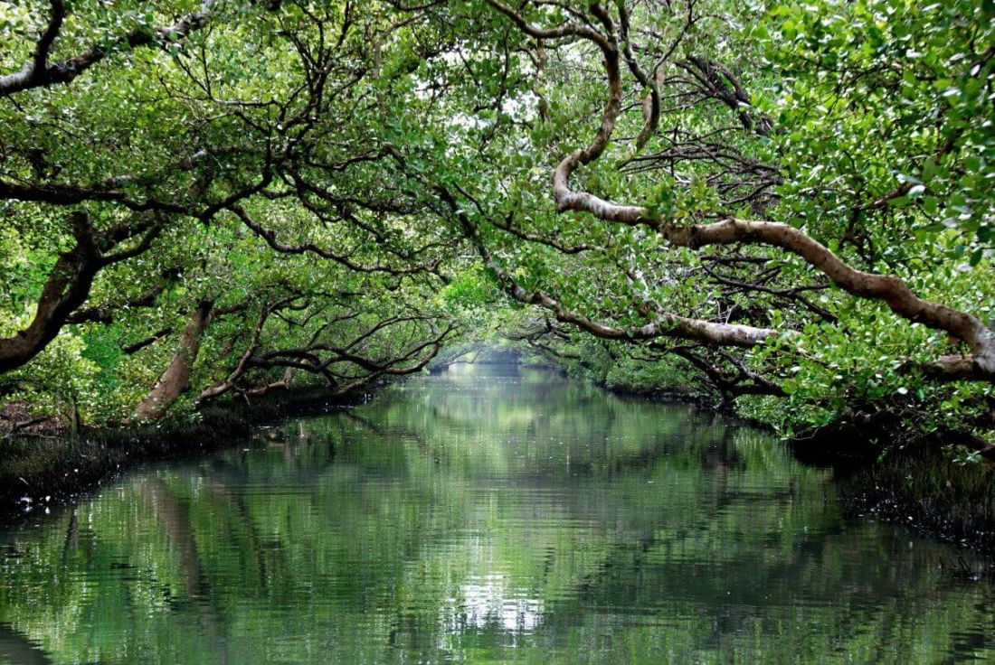 TAINAN – ENVIRONMENT & NATURE – CloudBridgeTaiwan