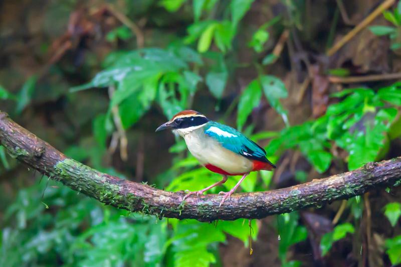 YILAN –ENVIRONMENT & NATURE – CloudBridgeTaiwan